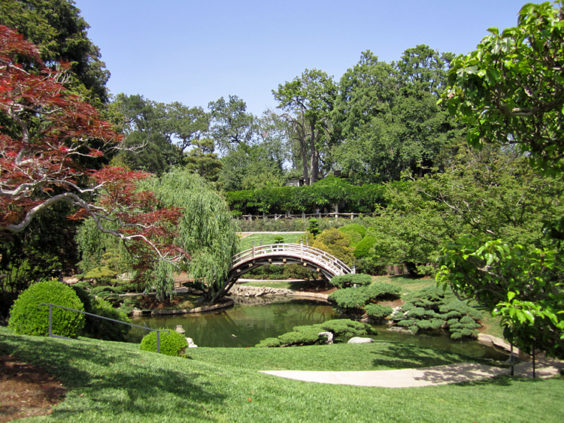 5 of the Best Spots to Experience "Spring" In LA